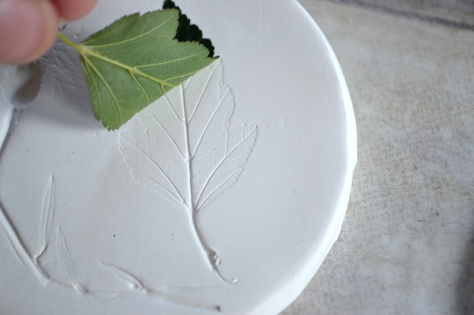 Attic Lace: Plant Printed Clay Coasters