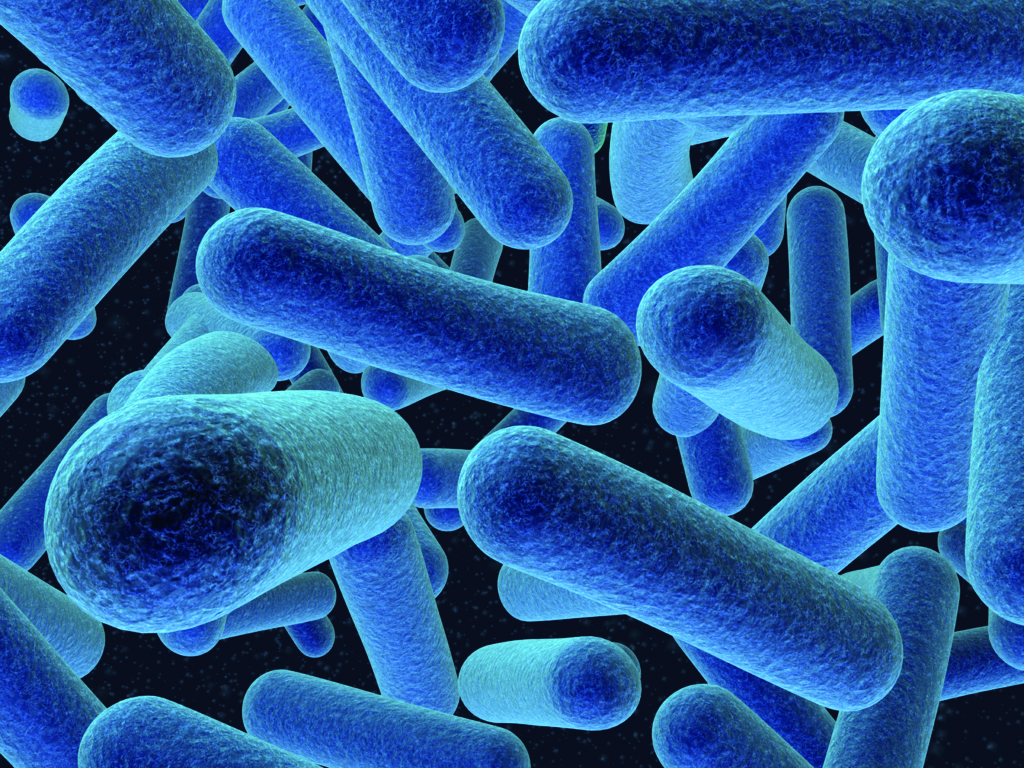 Recognising Listeria Health Secrets And Tips recognising-listeria-health-secrets-and-tips