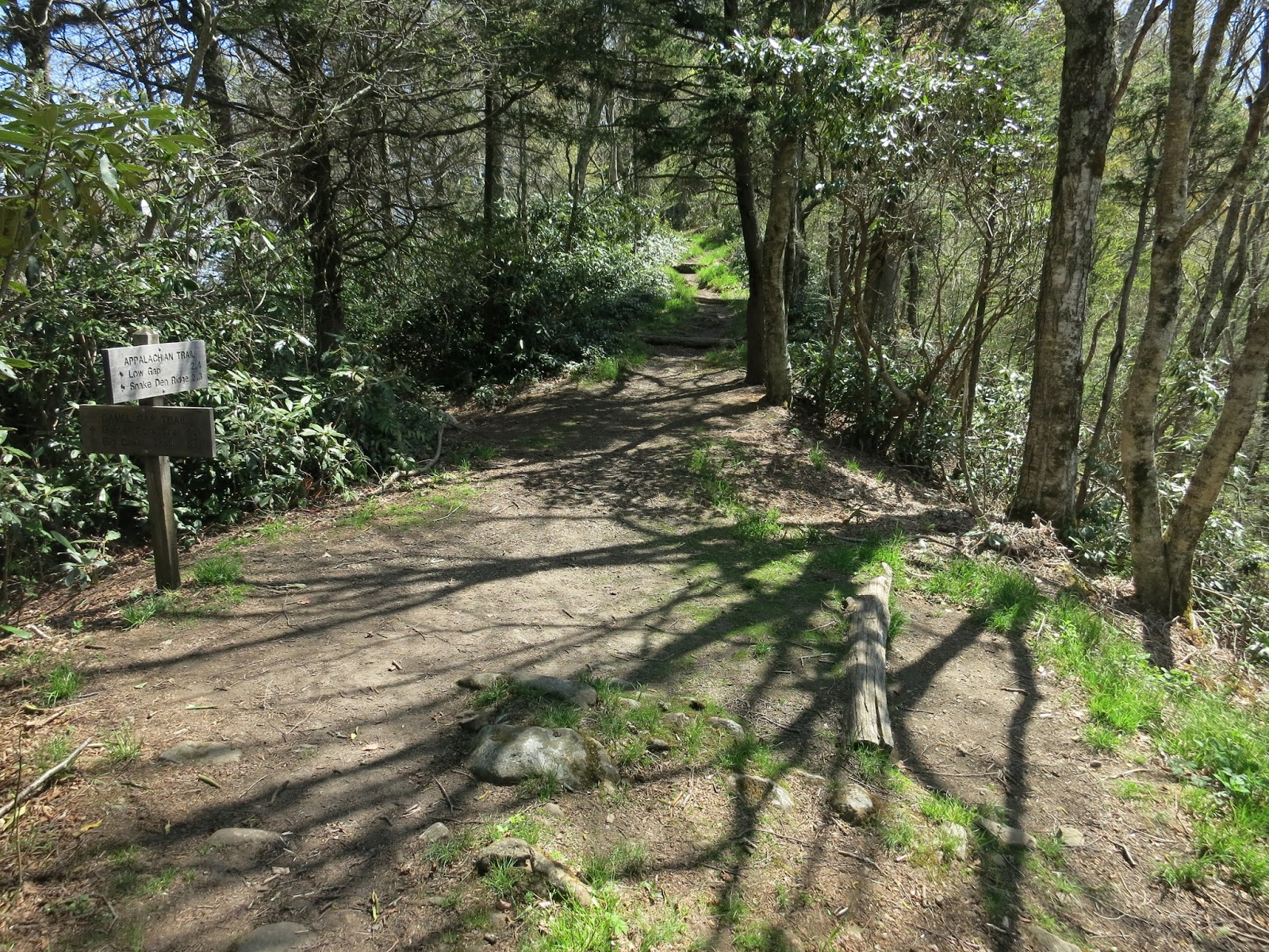 Come Along With Chong: Snake Den Ridge - Appalachian Trail - Low Gap Loop