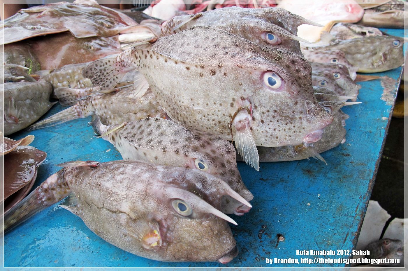 My LIFE, Food & Travel Experience ~ Malaysia, Taiwan & the World: Trip ...