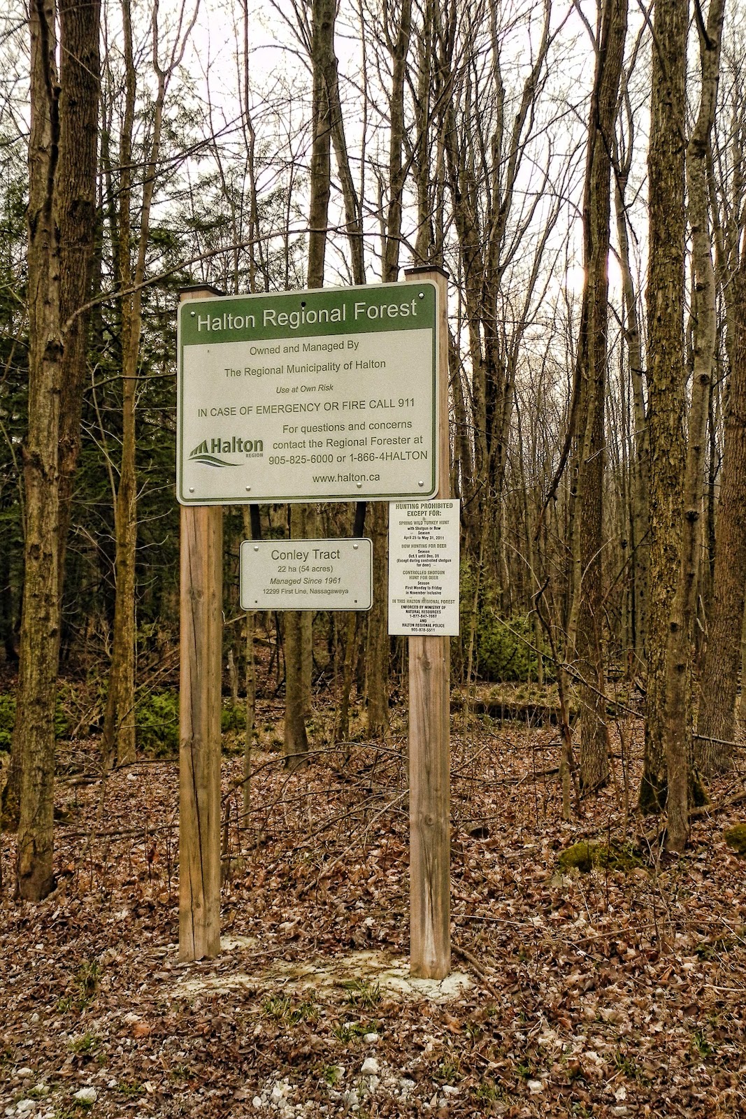 Hiking in Ontario: Conley Tract - Halton Regional Forest