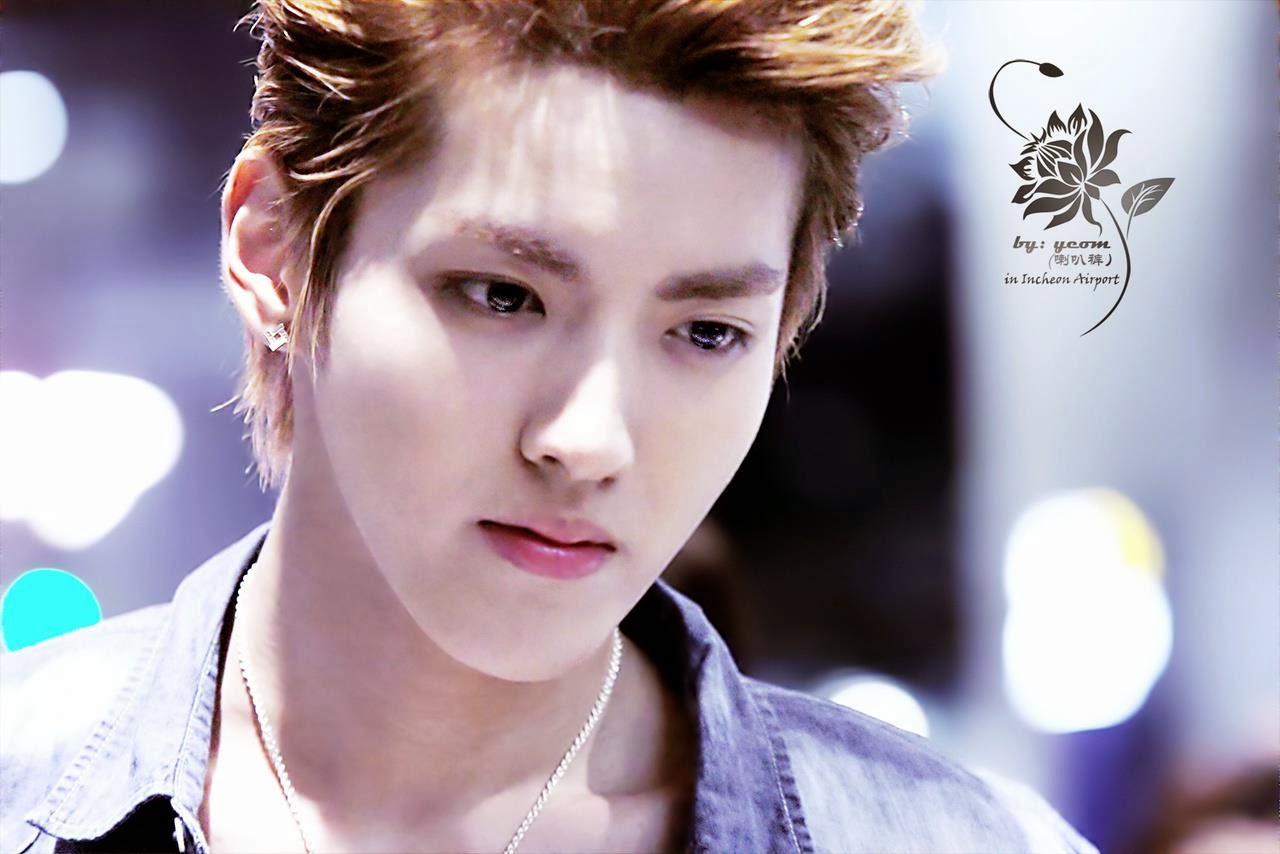 ALL ABOUT K-POP: KRIS EXO