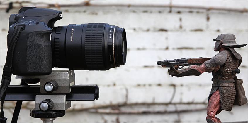 Nature photography with magnification: Depth of field does not depend ...