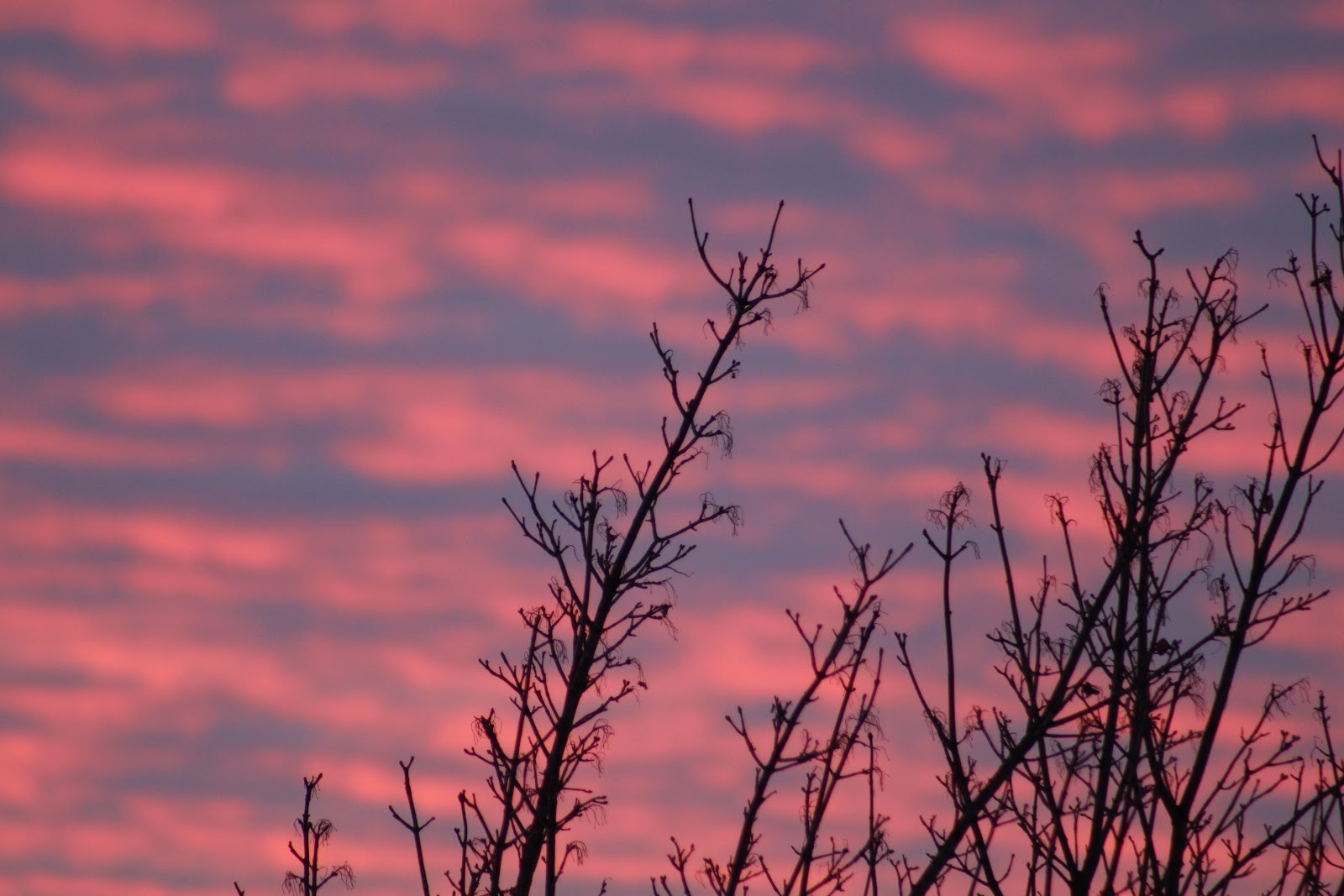 Crop and Zoom Your Way to Better Sunset Photos Without Photoshop ...