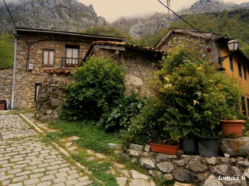 FOTOGRAFIAS: Cain, León