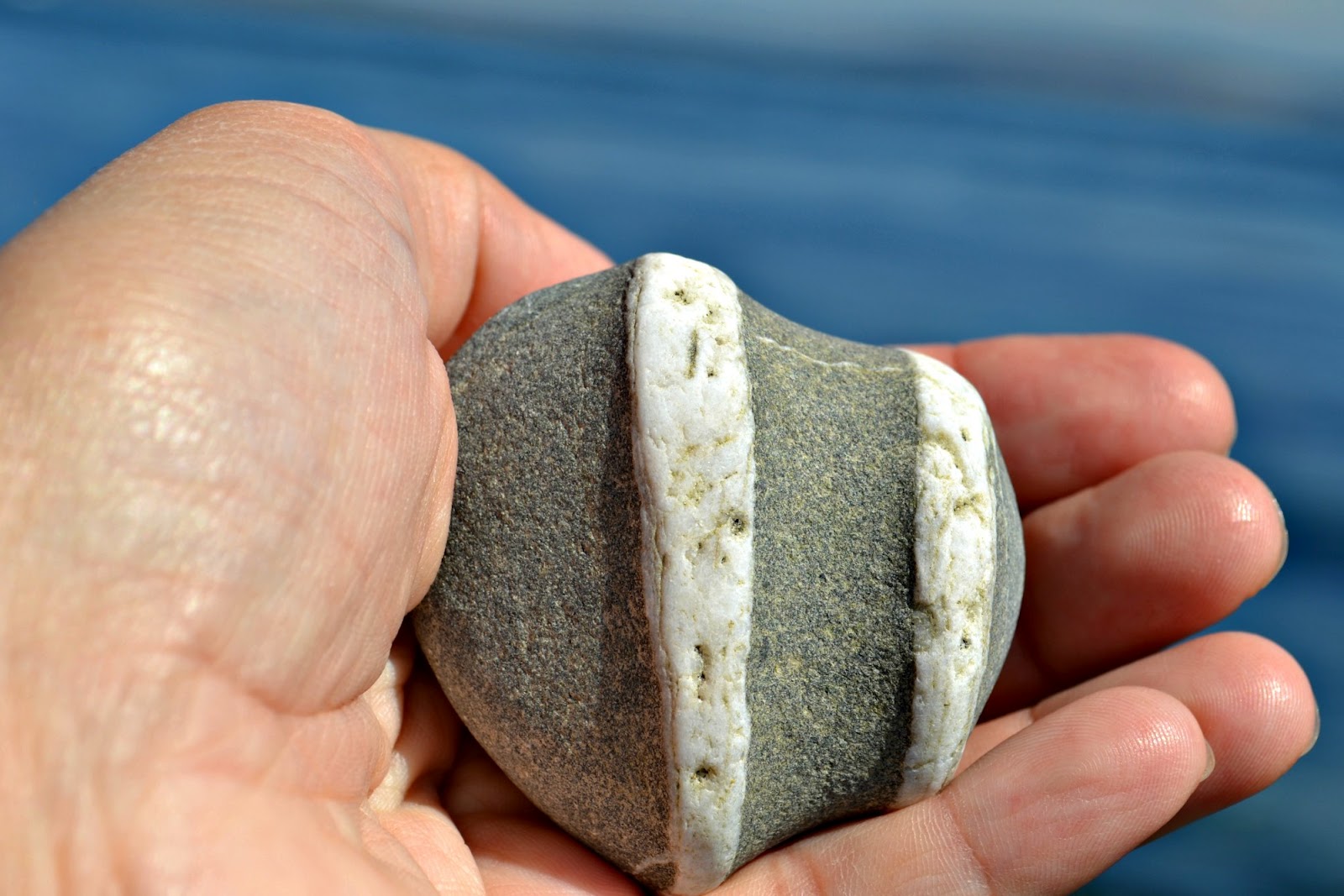 Homeschool Distractions: Fort Worden State Park