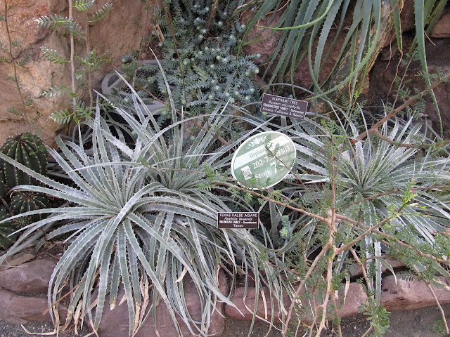 Rock-Oak-Deer: The U.S. Botanic Garden