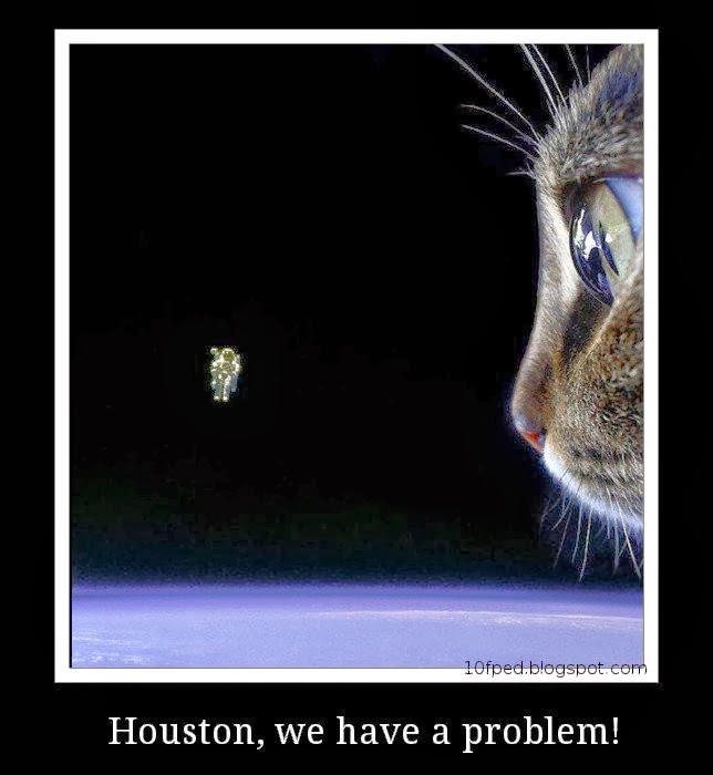 Houston, we have a problem! | Funny pictures and videos
