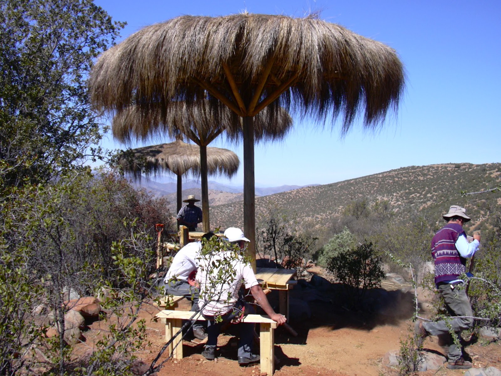 Aprender Viajando ...: Arte rupestre de El Coligüe (IV Región-Chile 2004)