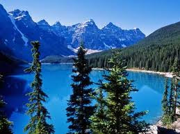 Blog da Floresta: A Floresta Boreal