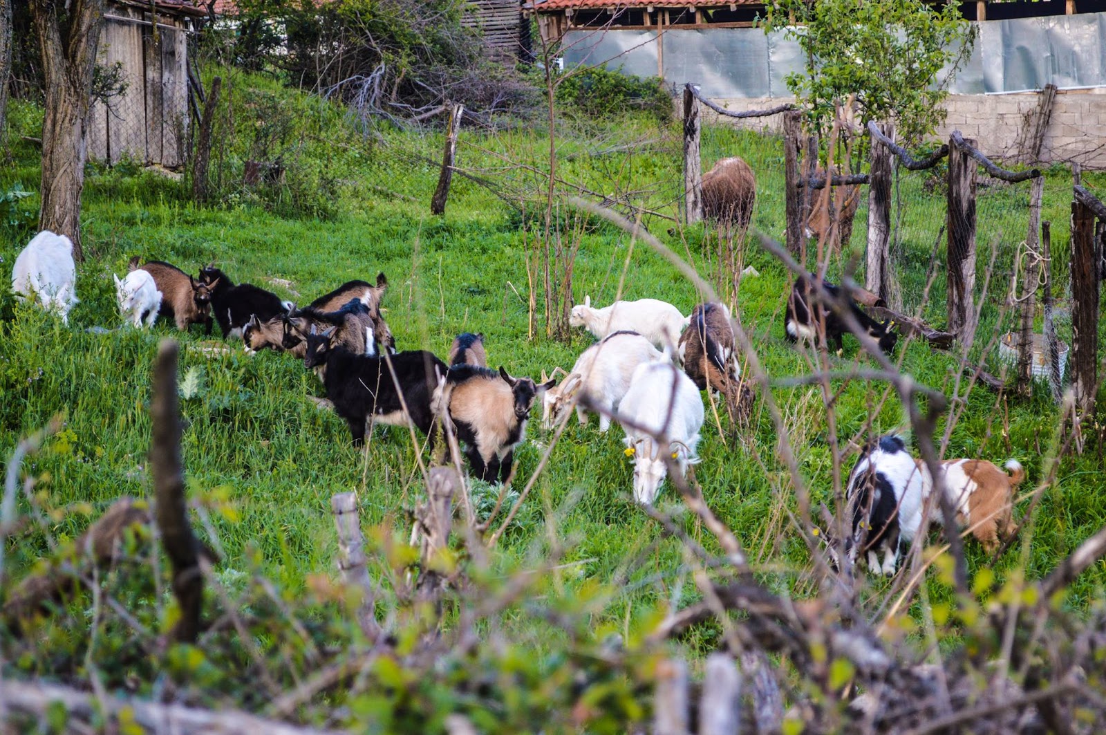Das kleine wunderschöne Dorf Bogomila