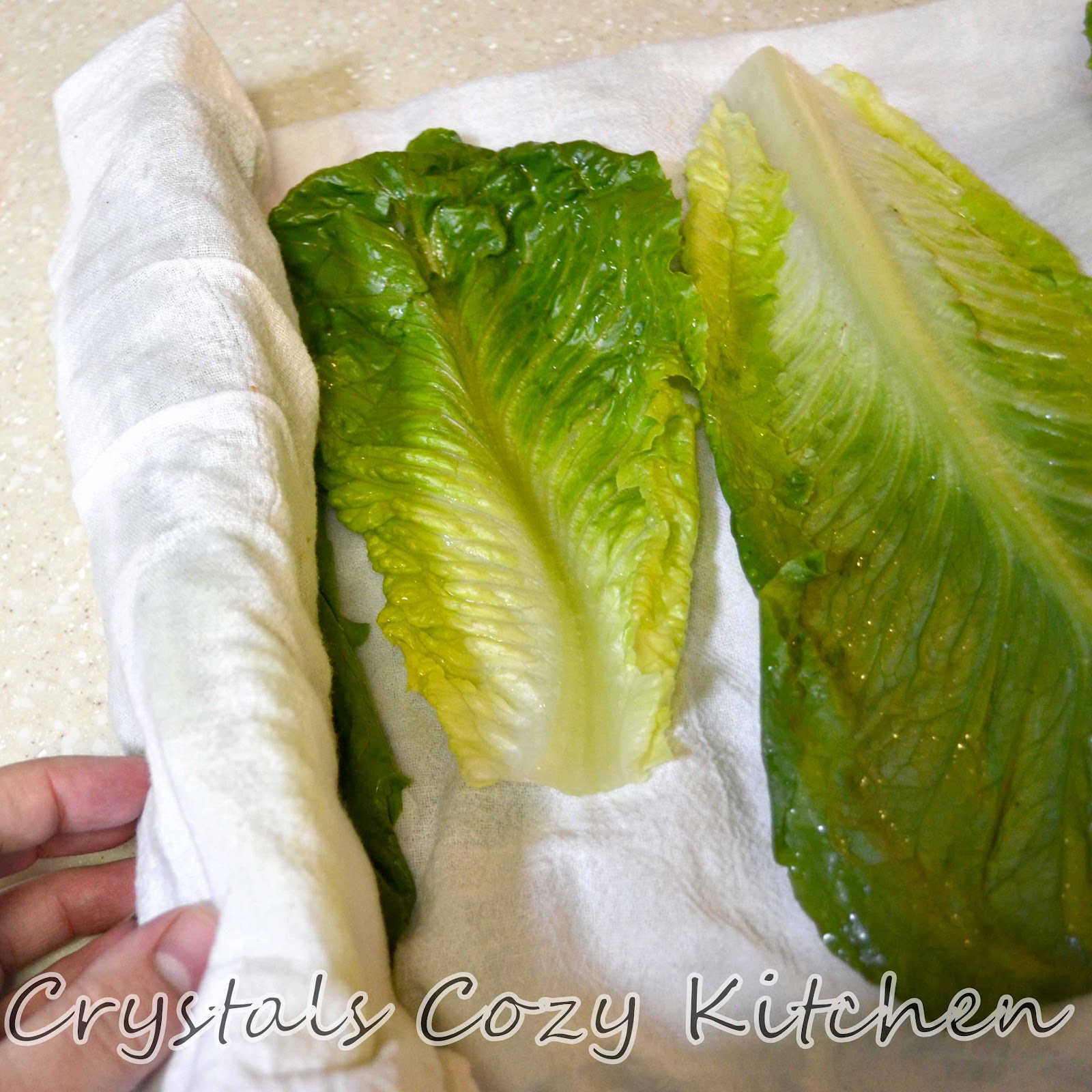 Crystal's Cozy Kitchen: Kitchen Tip: Keeping lettuce crisp longer