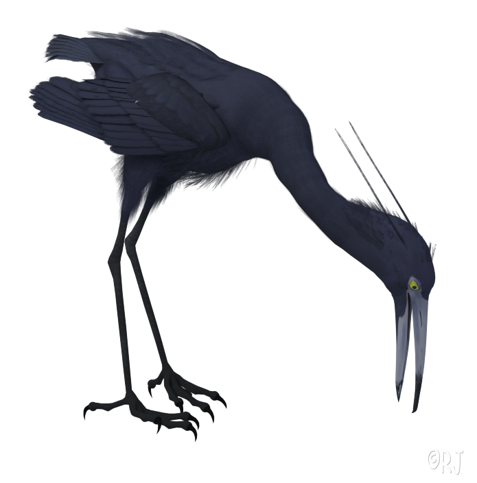 RJs Bits Bobs Props & Pieces: Shorebirds III