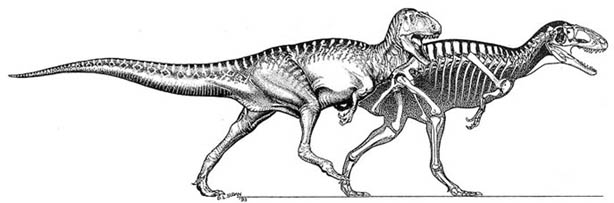 Extinct Animal of the Week: The Faces of Sinraptor