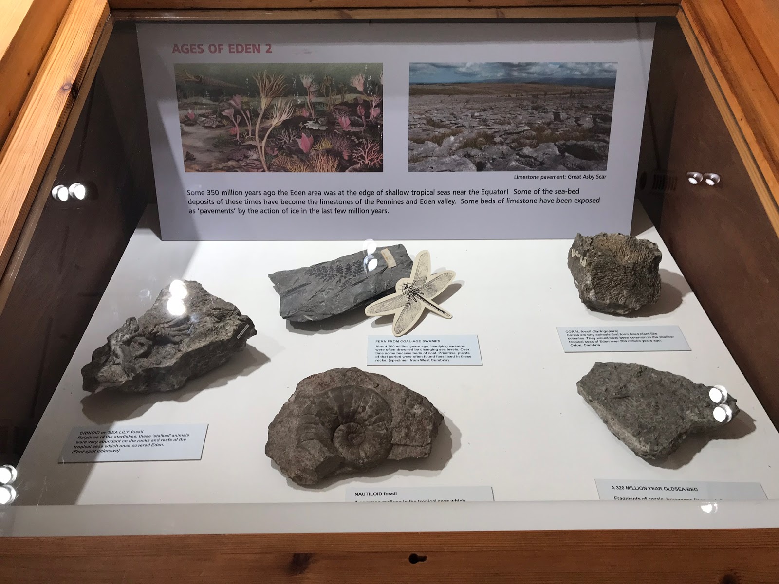 Penrith Museum - A Well-done Local Museum