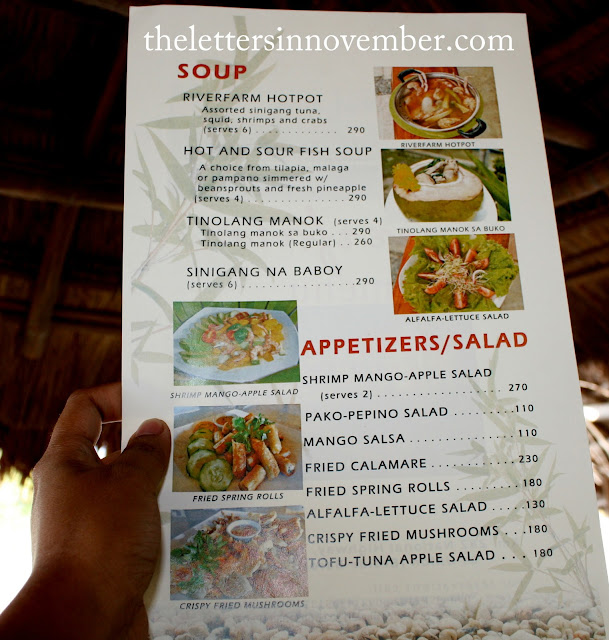 Bacnotan My Hometown: The Fun at River Farm Restaurant and Baroro ...