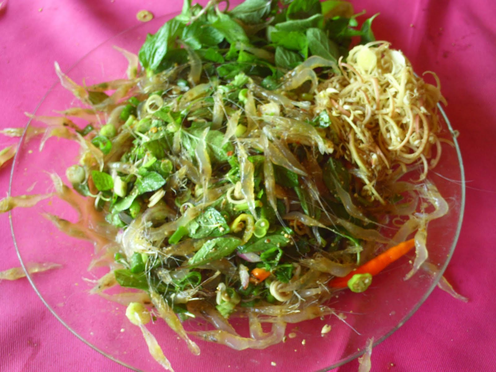 Asien Abenteuer Reisen: Mopedtour Vientiane - Jumping Shrimps, Lao-Zoo ...