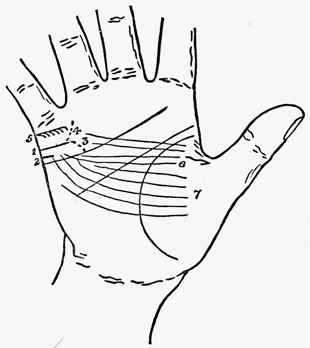 Palmistry Guide: Line of life and its variations (Part 2)