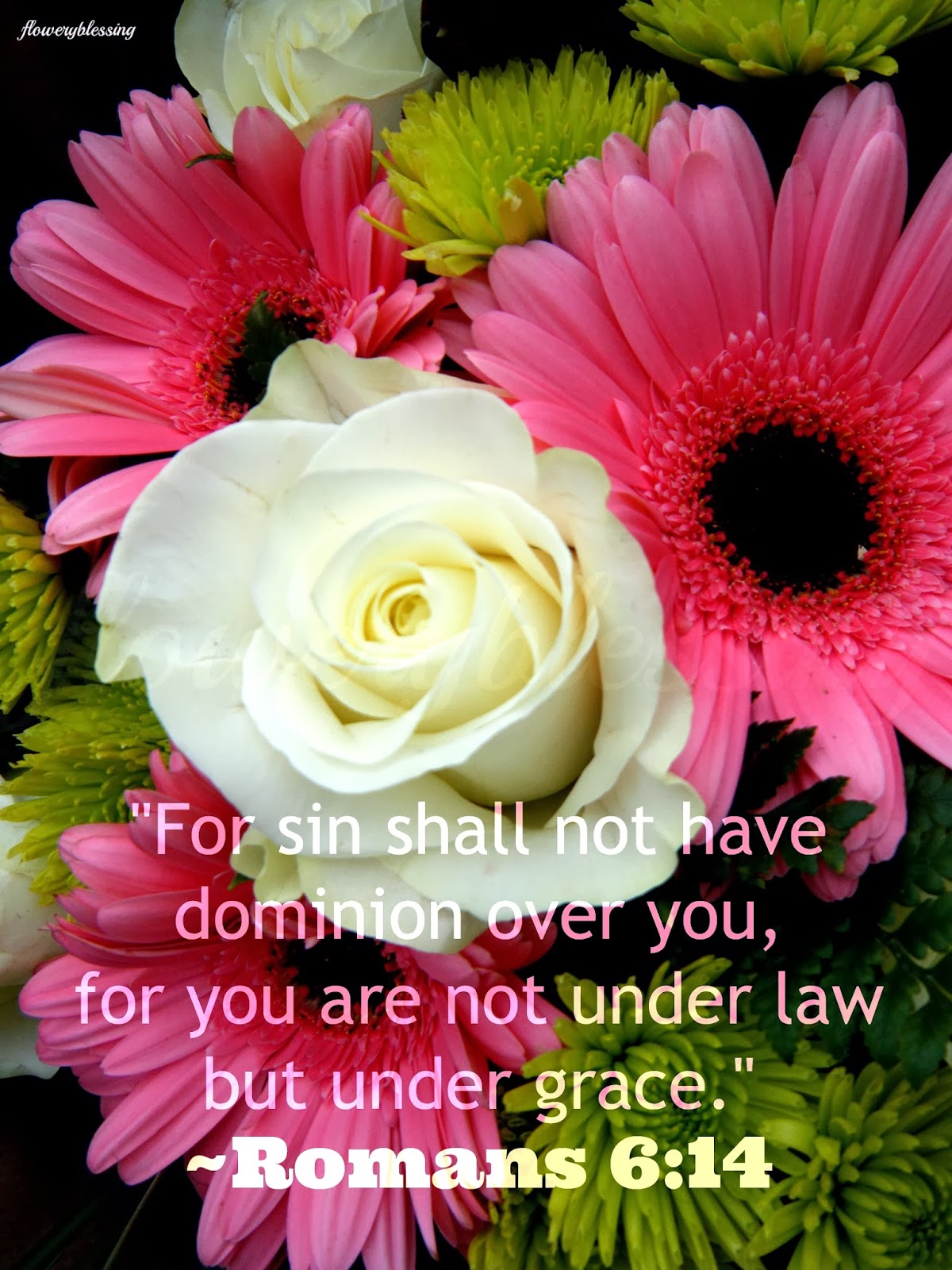 Flowery Blessing: "For sin shall not have dominion over you, for you ...