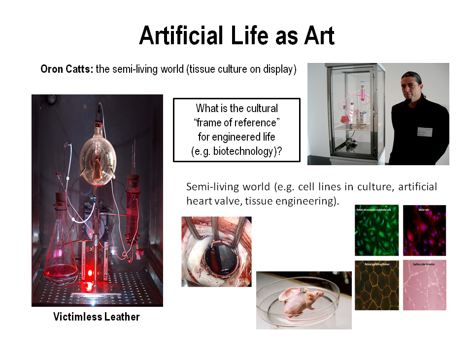 Synthetic Daisies: Overview of the Artificial Life (ALife) 13 Conference