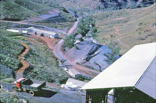 The Asbestos Ghost Town of Wittenoom | Stupid Genie