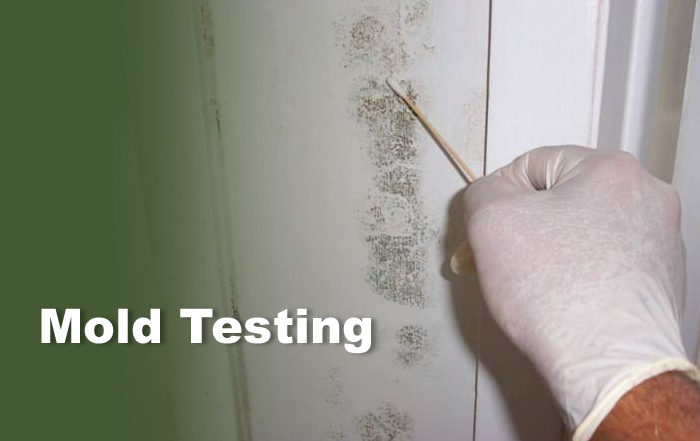 Environmental Testing & Laboratory : Why Mold Test?