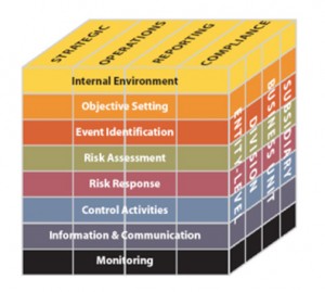 Dzaky Wicaksono: Internal Control - Integrated Framework (COSO ERM)