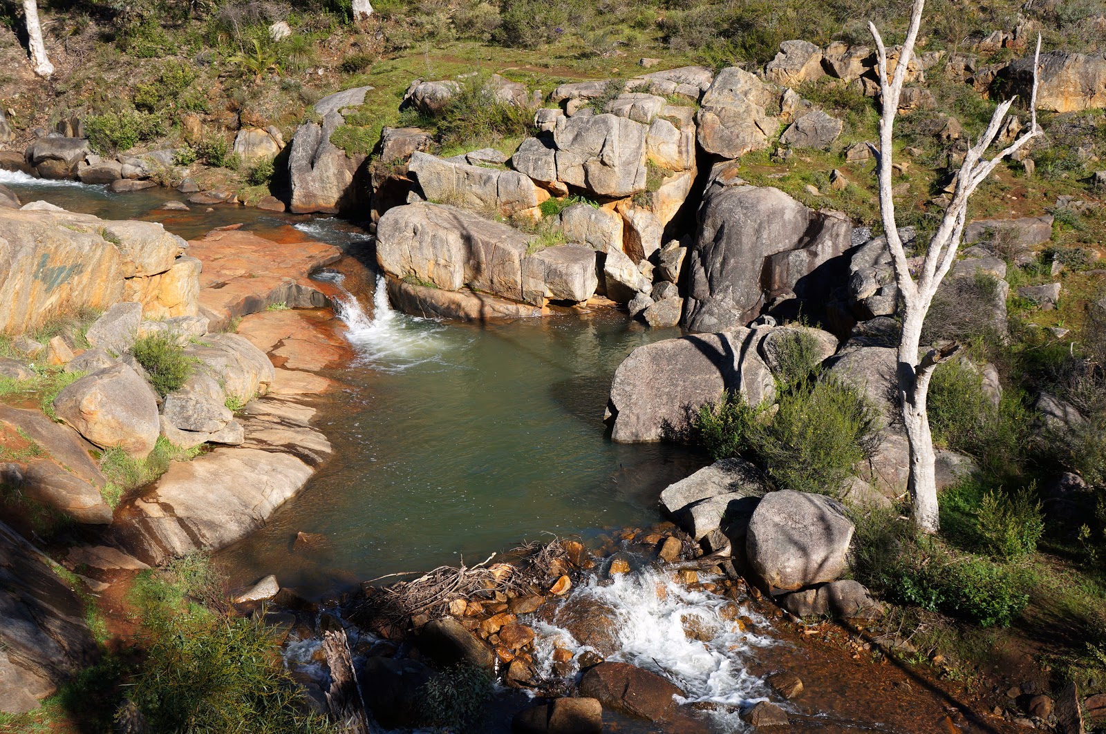 Piesse Gully Loop (Kalamunda National Park) ~ The Long Way's Better