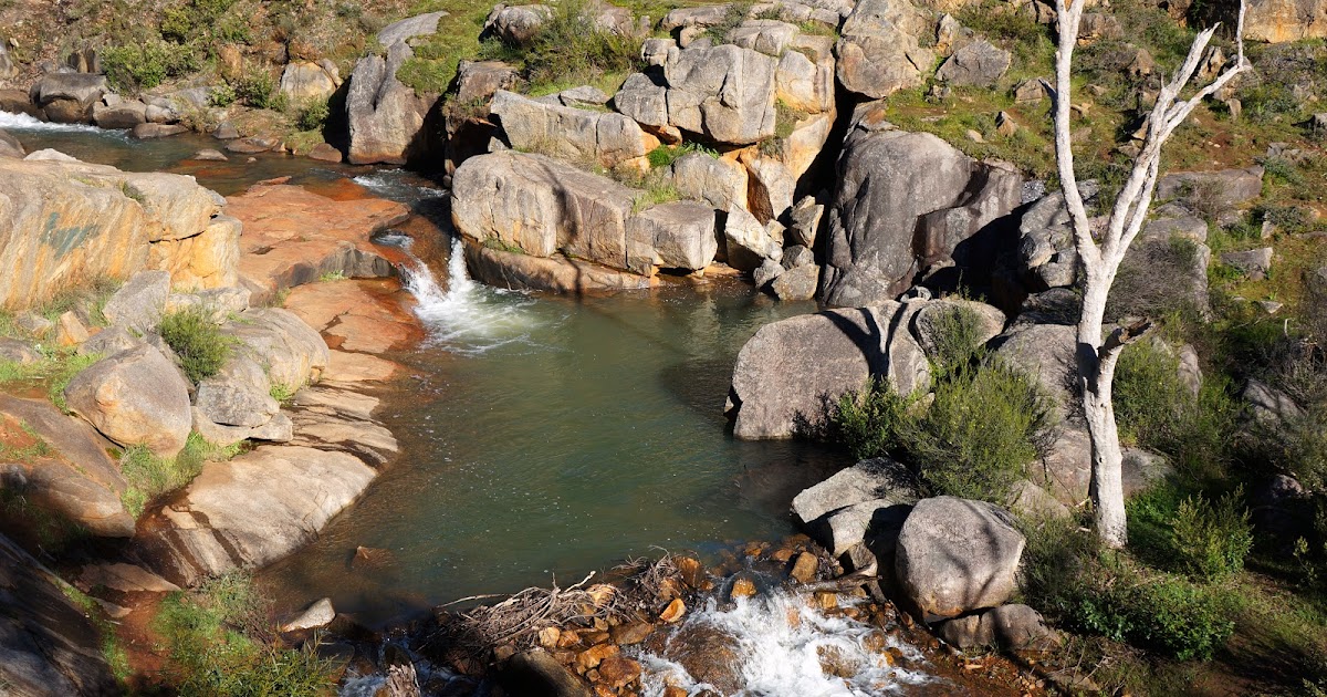 Piesse Gully Loop (Kalamunda National Park) ~ The Long Way's Better