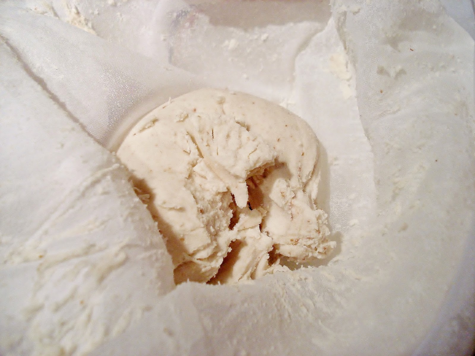 How To Make Almond Milk GF SCD | Gluten Free SCD and Veggie