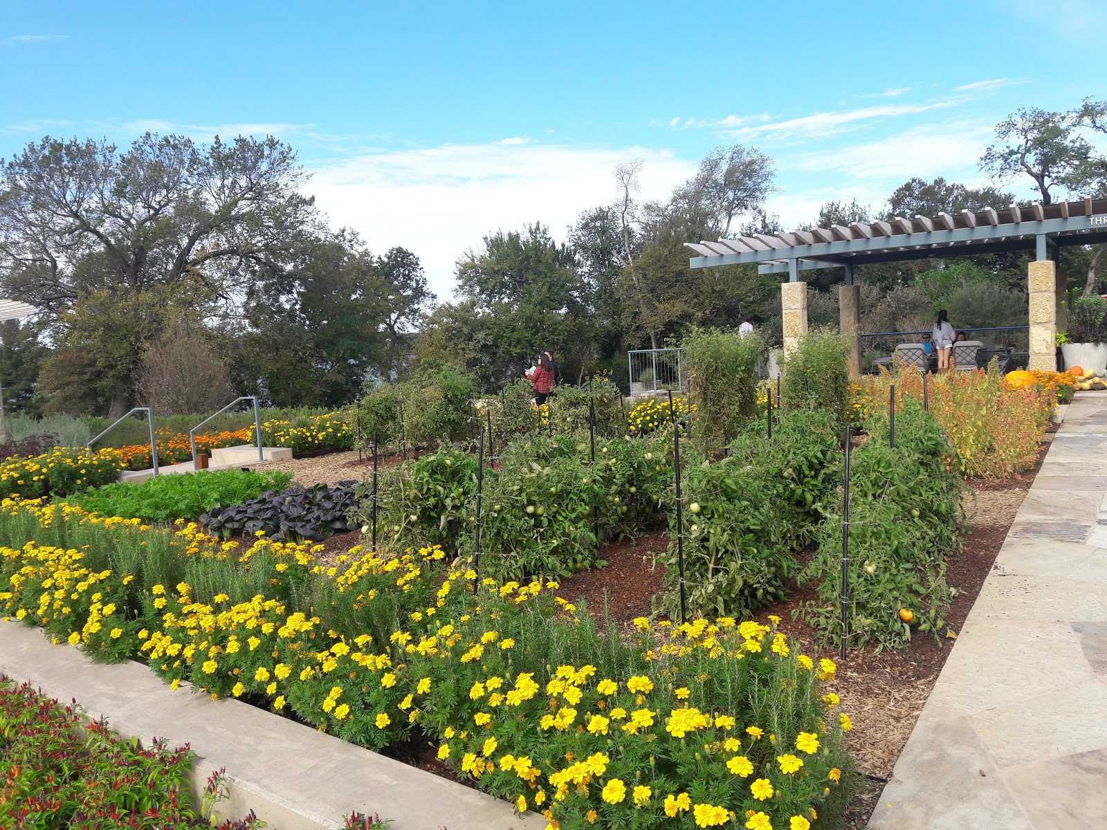 A Tasteful Place at the Dallas Arboretum