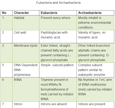 Kingdom Monera and its Classification