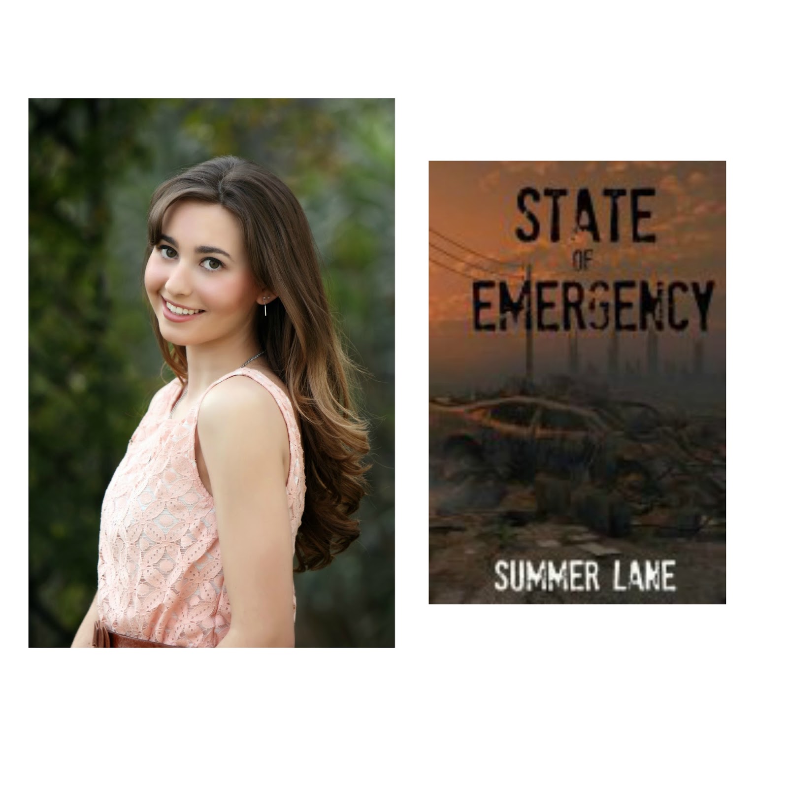 Writing Belle: Summer Lane: The Journey of The Collapse Series (How I ...