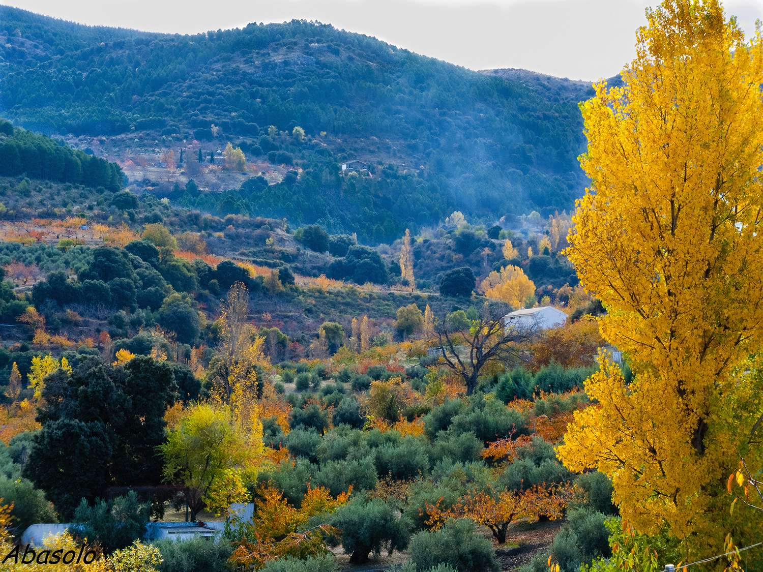 FOTOGRAFÍAS DE NATURALEZA: Otoño en Torres, Jaén, España II