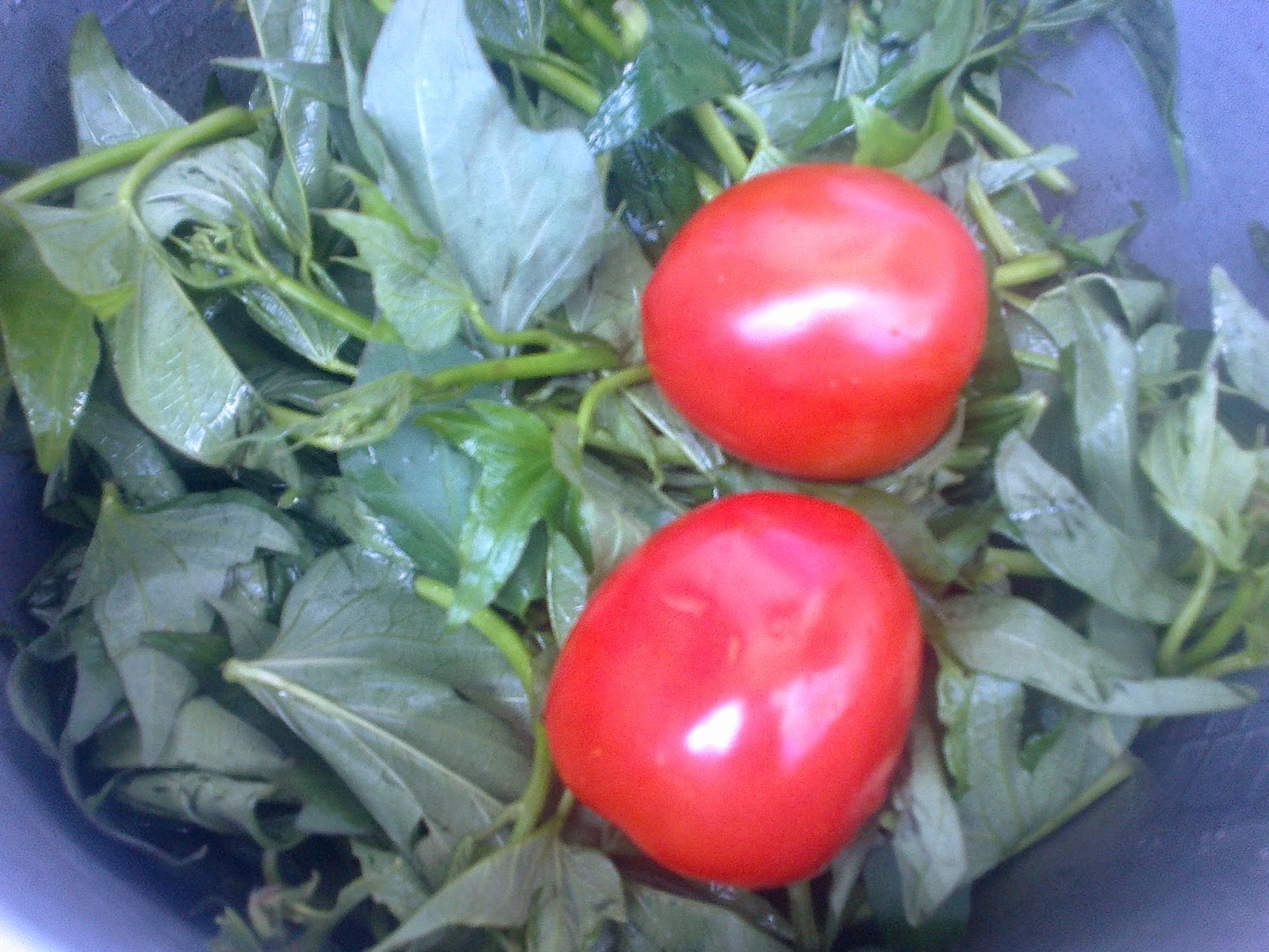 dalikan: February 2015