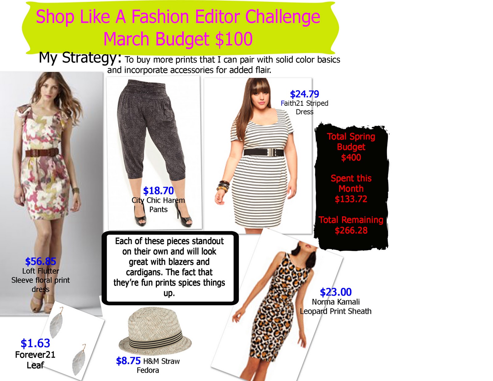 SHOP LIKE A FASHION EDITOR CHALLENGE: MARCH - Stylish Curves