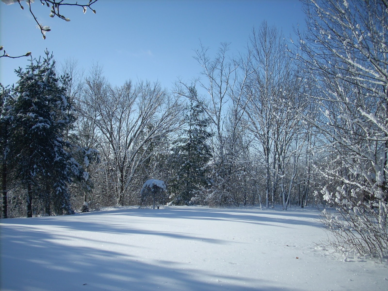 HOPE to find: Sunshine on Snow Sparkles like Diamonds