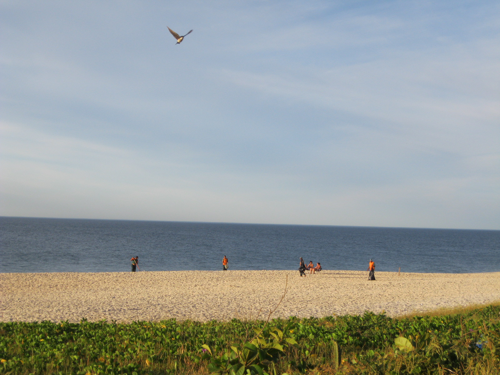UM PARAÍSO CHAMADO JACONÉ ~ Fala Jaconé