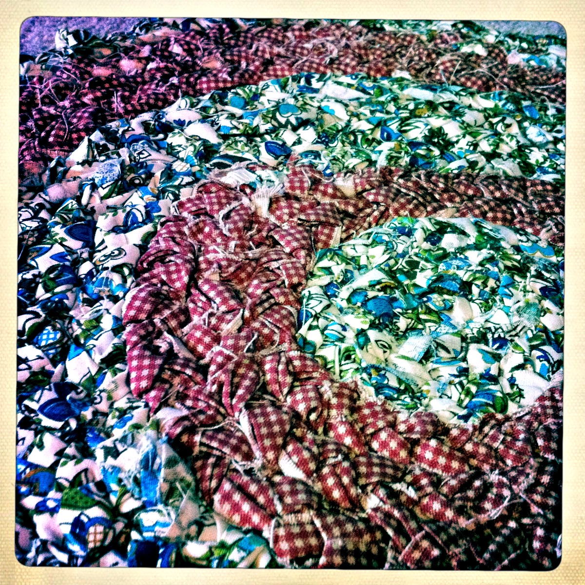 Duke Says Sew What: A Braided Rug