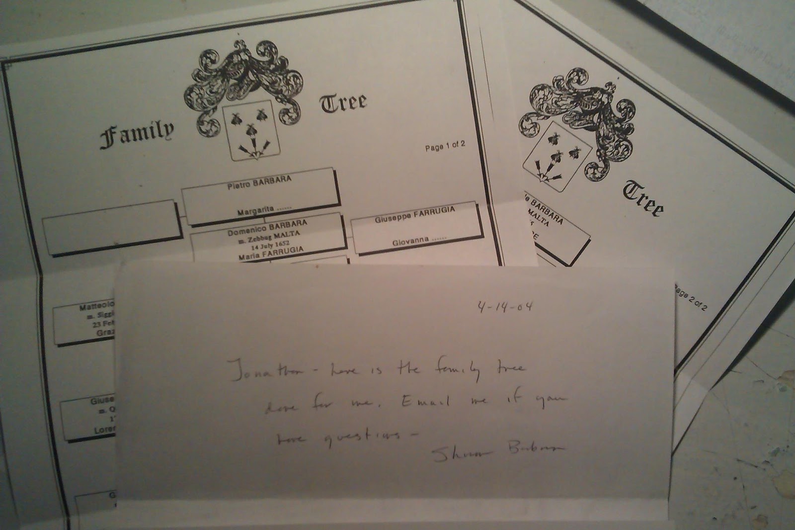 Barbara Vassallo Genealogy