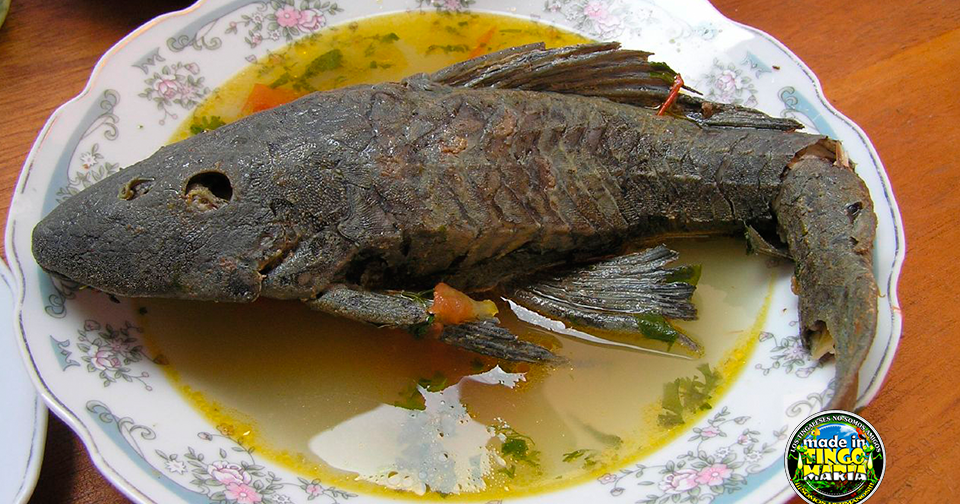 La Carachama el pez prehistórico de rico sabor - Made In Tingo María