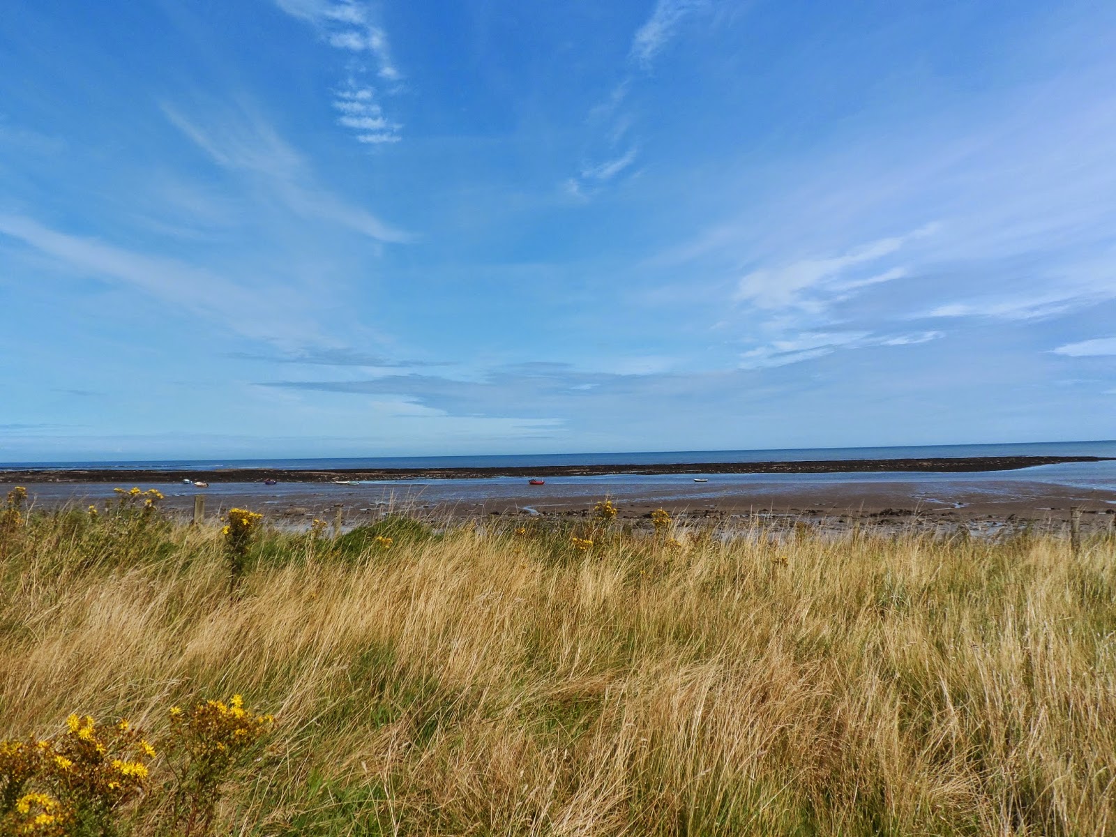 round the rails we go: Val de Ree (Ha Ha Ha Ha Ha)