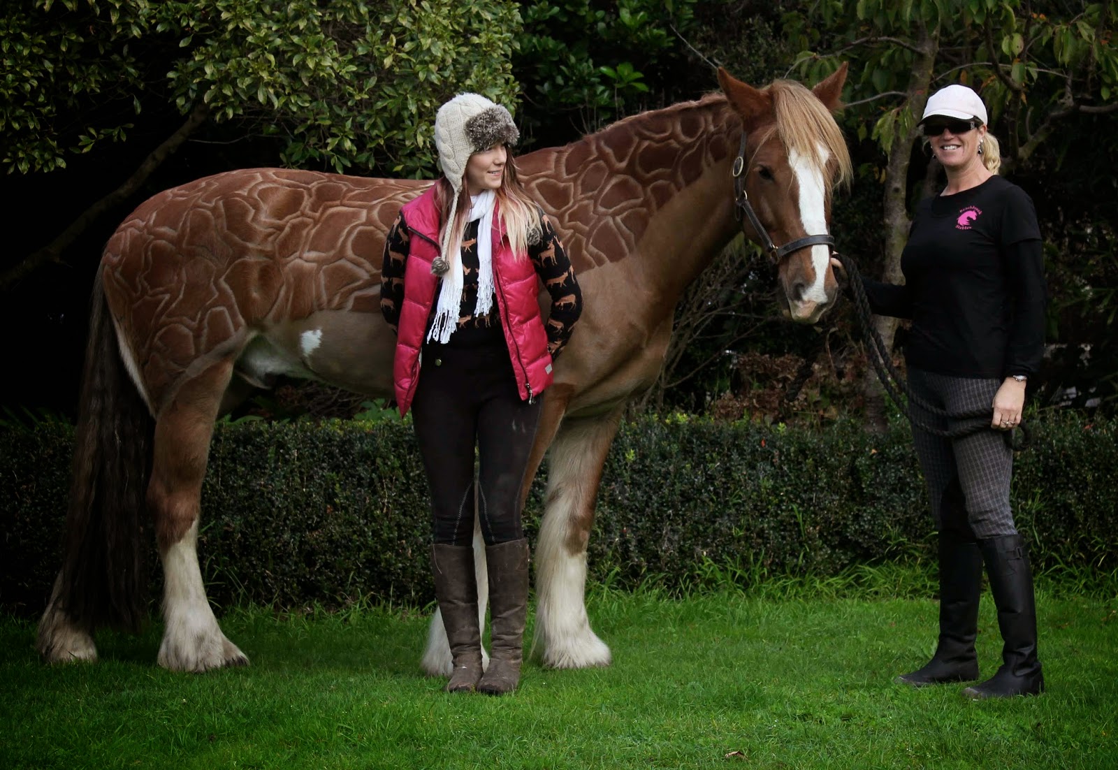 Pimp my horse - El último resquicio de lawaloca