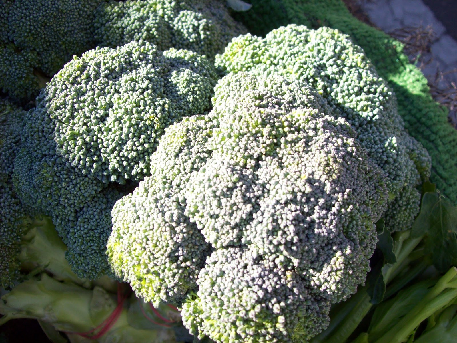 Napa Farmhouse 1885™: who wants broccoli?