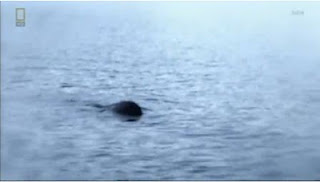 LOCH NESS MONSTER: Follow Up on the George Edwards Photo
