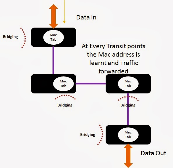 Next Generation Network Evolution: Provider Bridge and Provider Edge