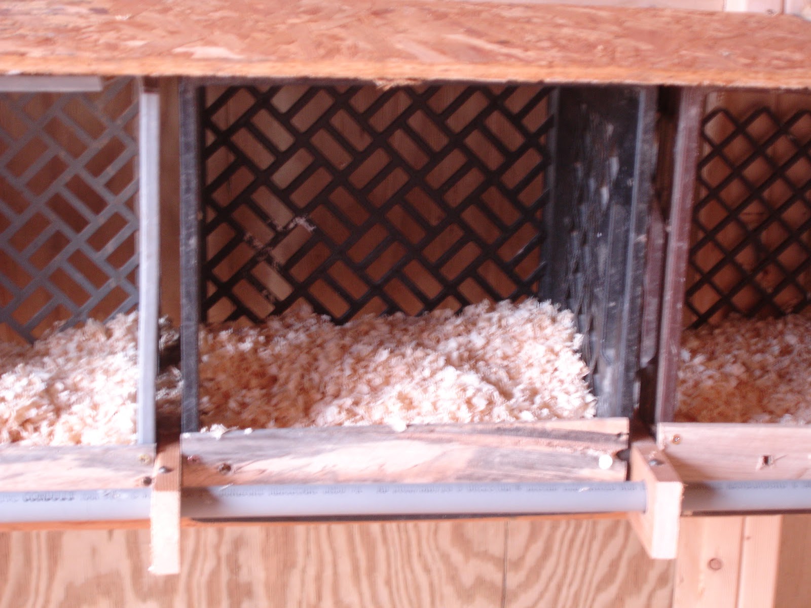Worms-a-crawling farm: Chicken Hotel Update