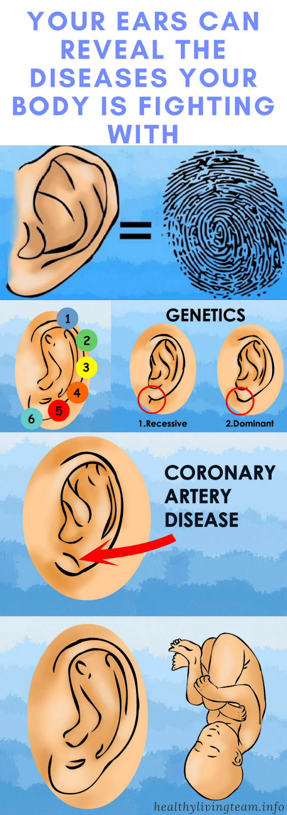 YOUR EARS CAN REVEAL THE DISEASES YOUR BODY IS FIGHTING WITH - WARM UP