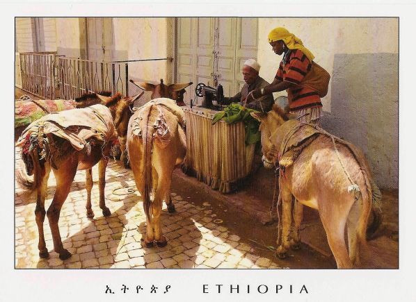 UNESCO cards: Ethiopia: Harar Jugol, the Fortified Historic Town
