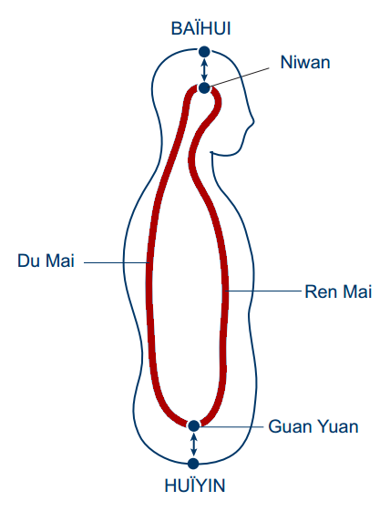 Blog Le Souffle du Menhir: VC1 Hui YIn / Huì yīn会阴 Réunion des Yin ou ...